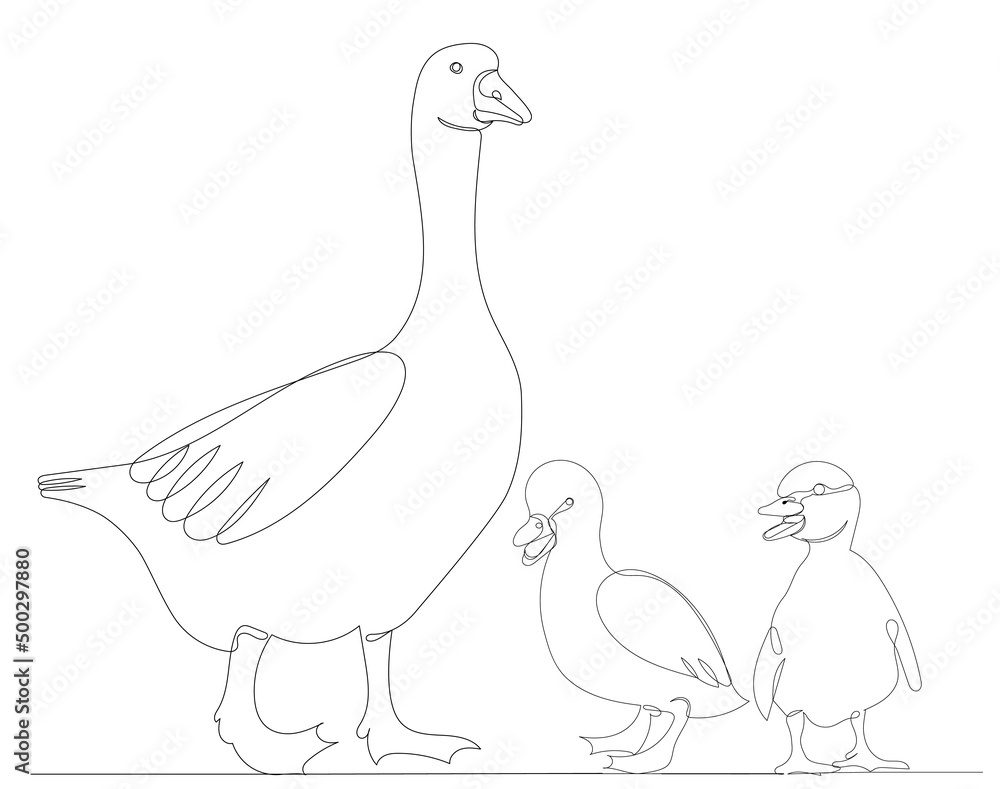 goose and goslings drawing in one continuous line, sketch, vector Stock ...