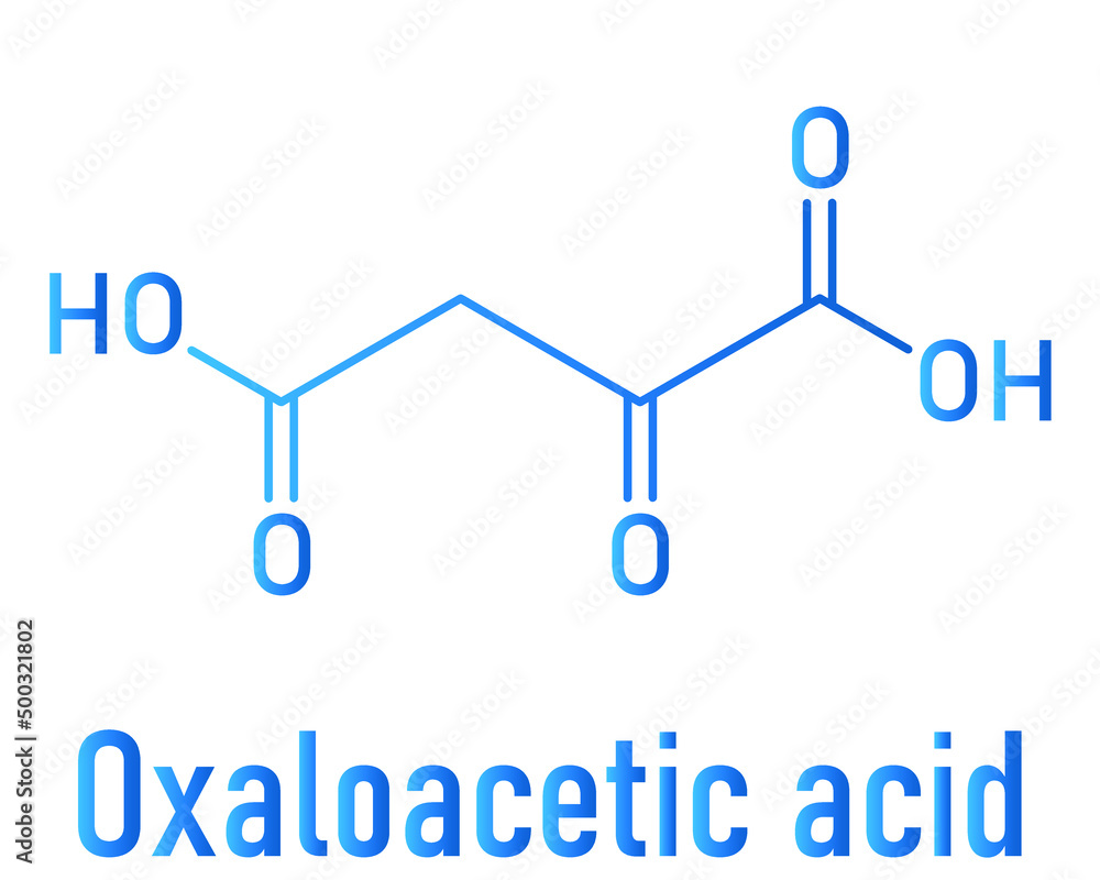 Oxaloacetic Acid Or Oxaloacetate Metabolic Intermediate Molecule