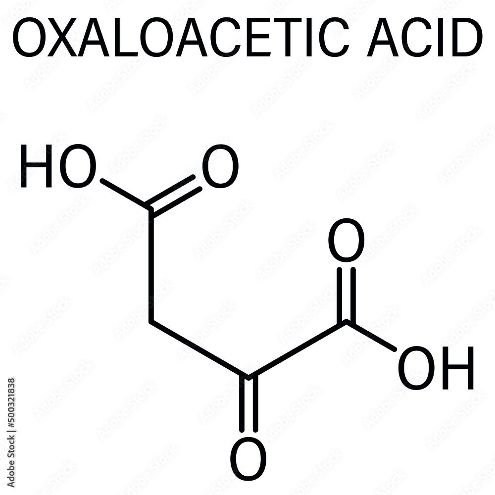 Oxaloacetic acid or oxaloacetate metabolic intermediate molecule ...