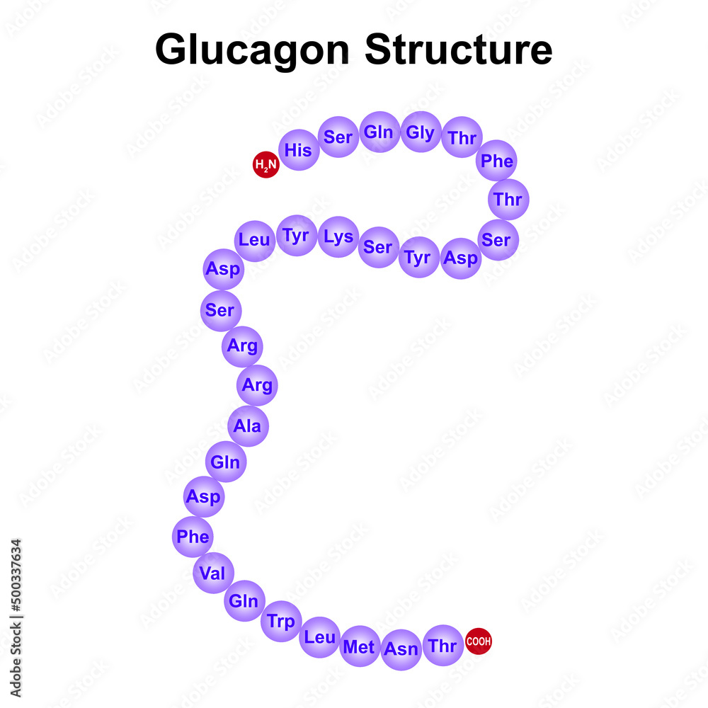 Vetor de Scientific Designing Of Glucagon Structure. Colorful Symbols ...