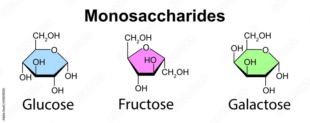 Chemical Illustration Of Monosaccharides. Glucose, Fructose And ...