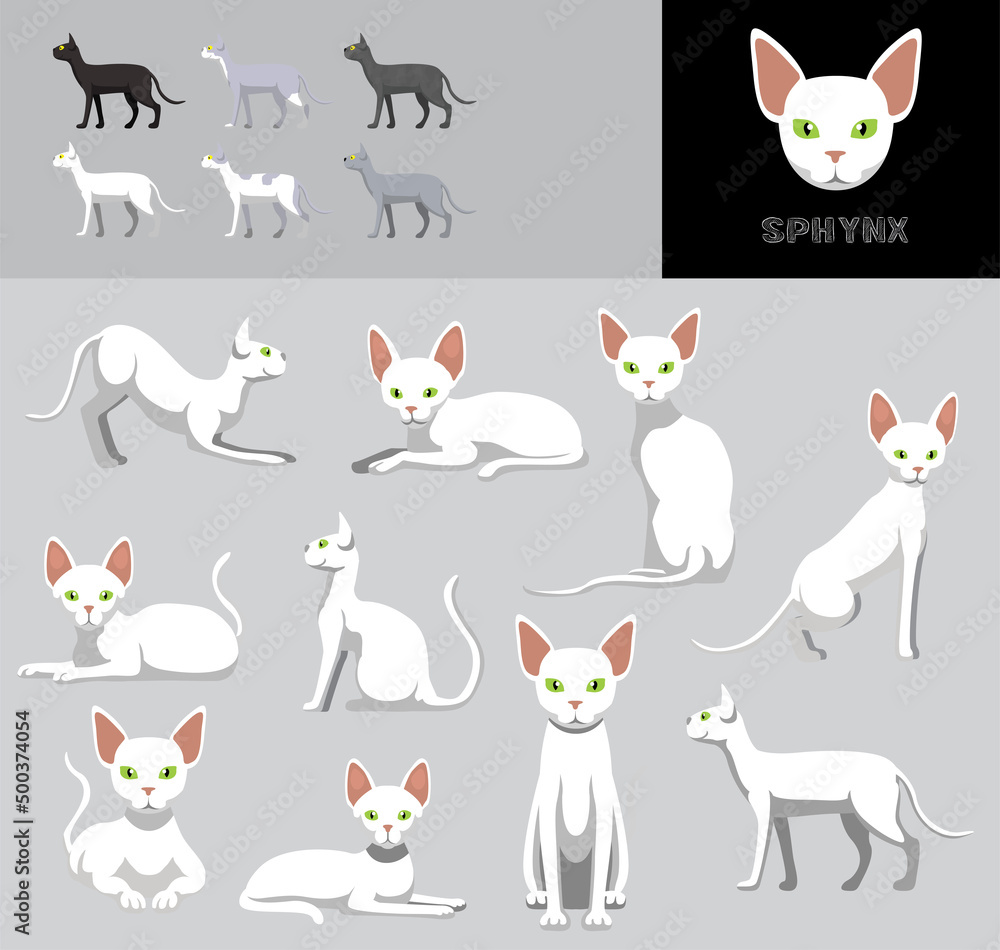 Cat Sphynx Cartoon Vector Illustration Color Variation Set Stock Vector ...