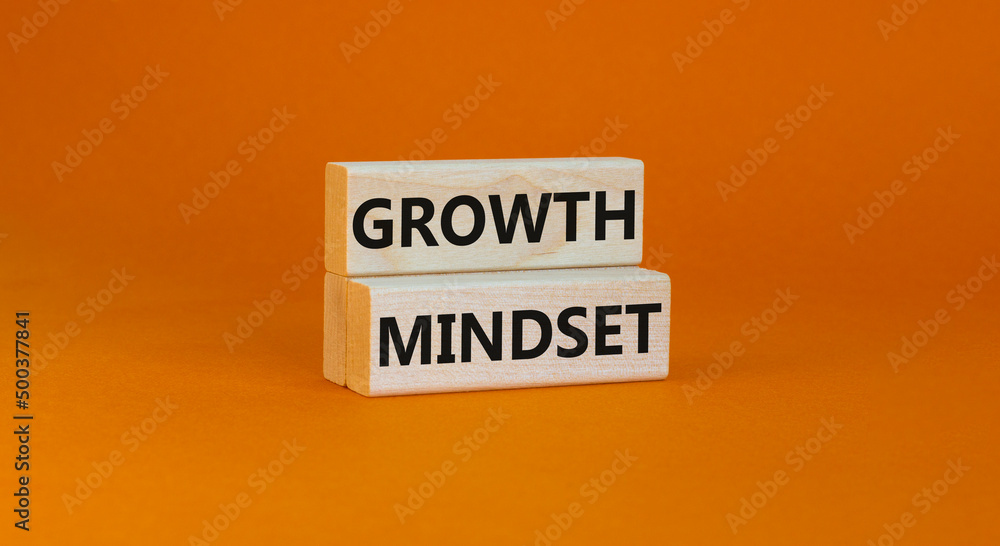 Growth mindset symbol. Wooden blocks with concept words Growth mindset ...