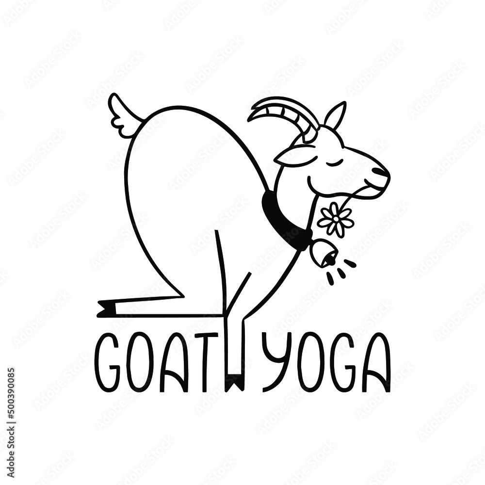 Goat yoga outline illustration. Modern fitness. Flat vector ...