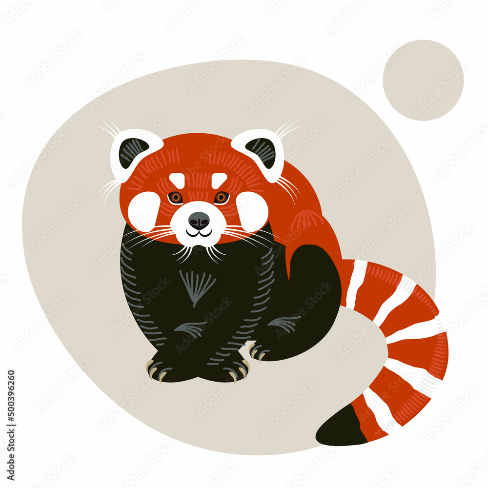 cartoon red panda is drawn in a flat style. the small panda is isolated ...