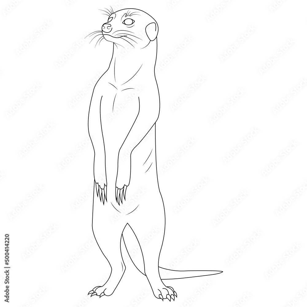 Groundhog stands on its hind legs in a minimalistic style. Design ...