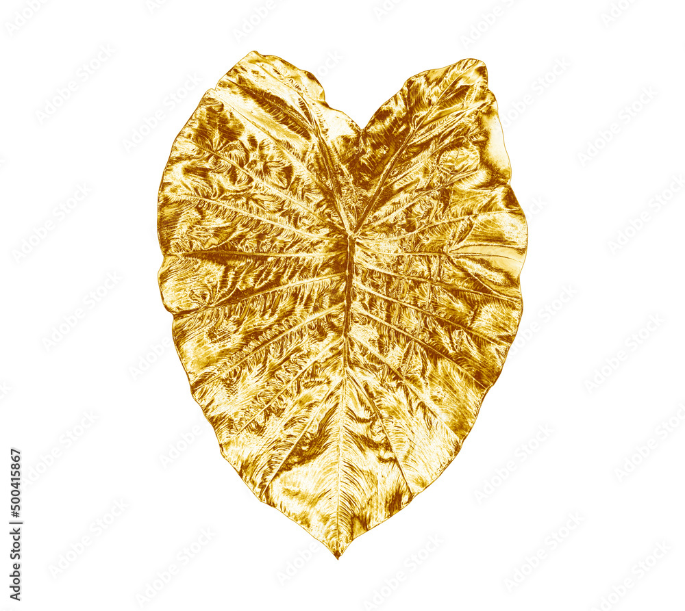 golden leaf isolated white background Stock Photo | Adobe Stock