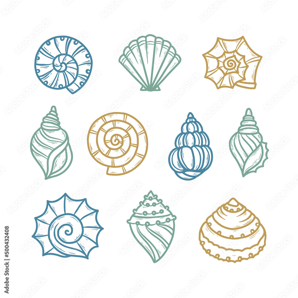 Seashells colorful hand drawn graphics set. Marine life design elements ...