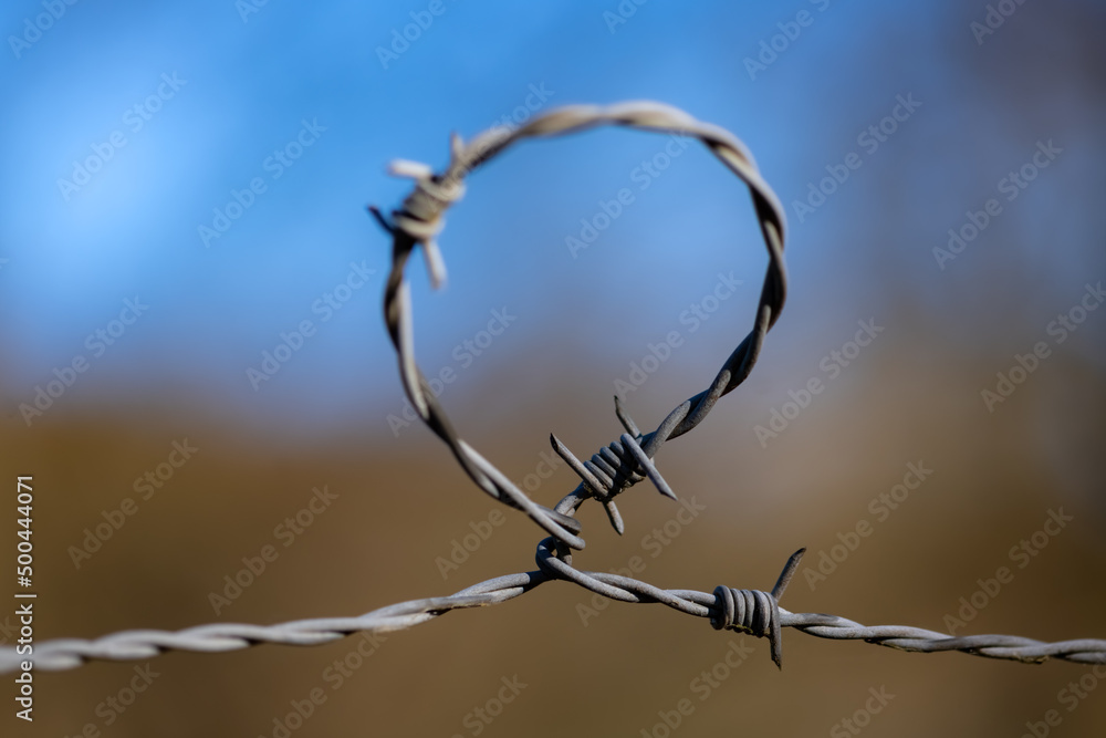 Barbed Wire with clusters of short, sharp spikes set along it, used to ...