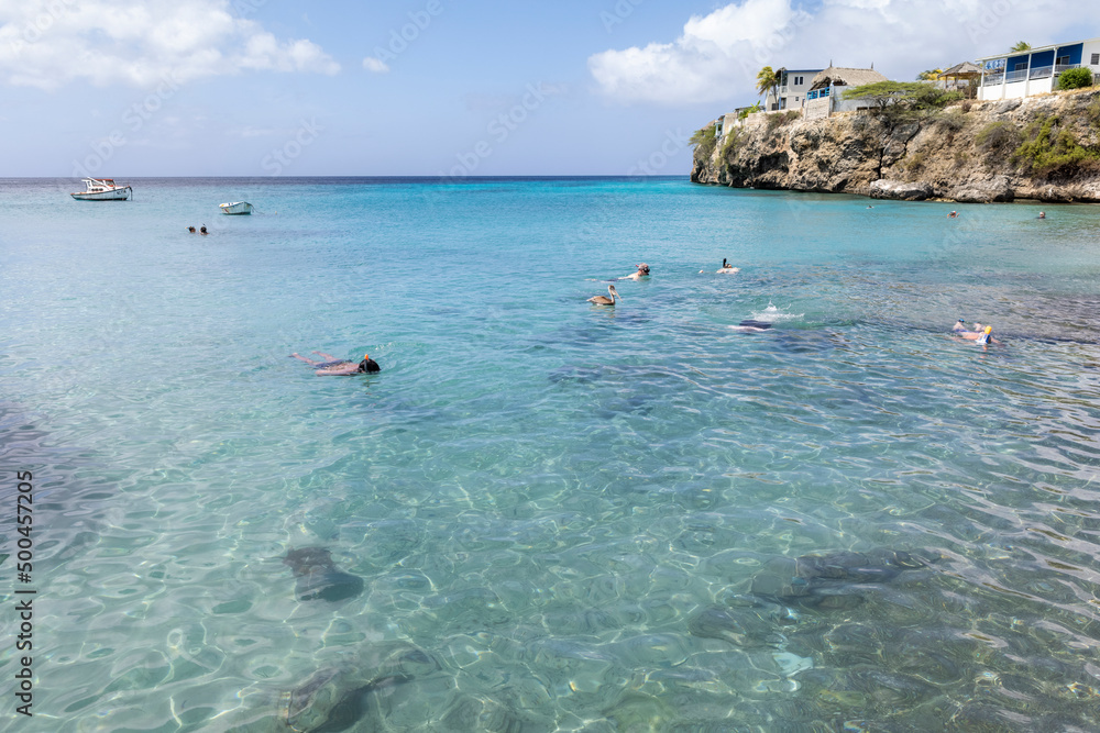 Snorkeling with sea turtles and pelicans at Playa Grandi (Playa Piscado ...