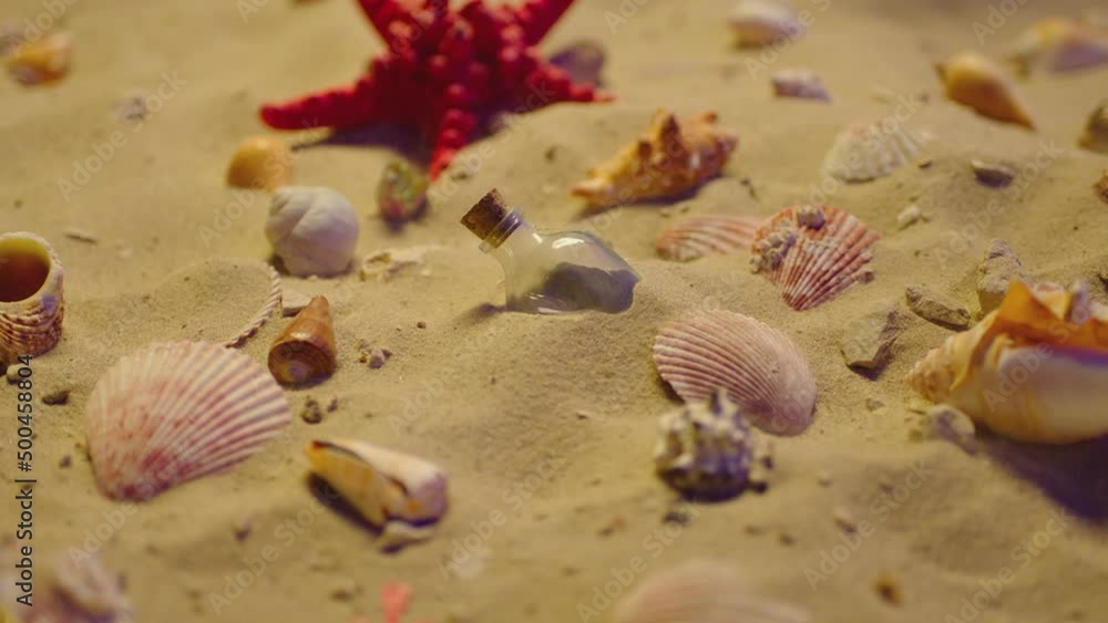 Seashells and red starfish lying on the sand . Wind blows , sand rising ...