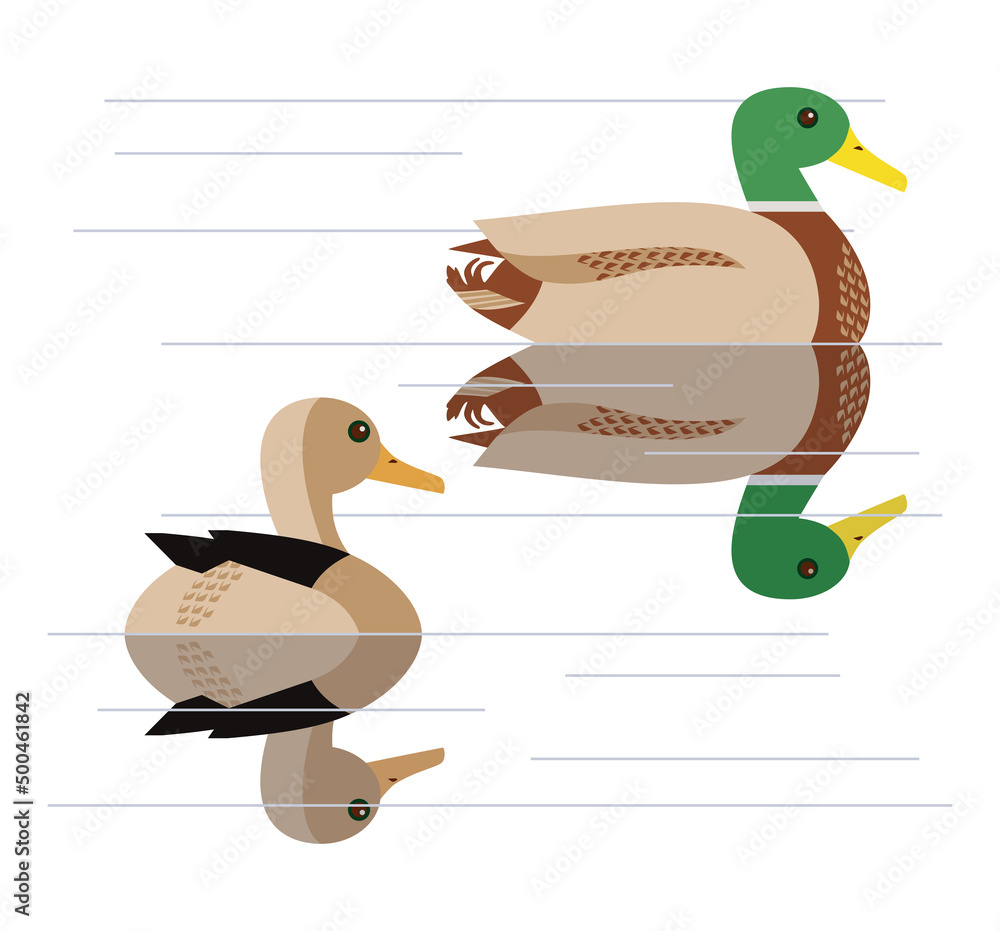 Mallard Duck Head Clip Art