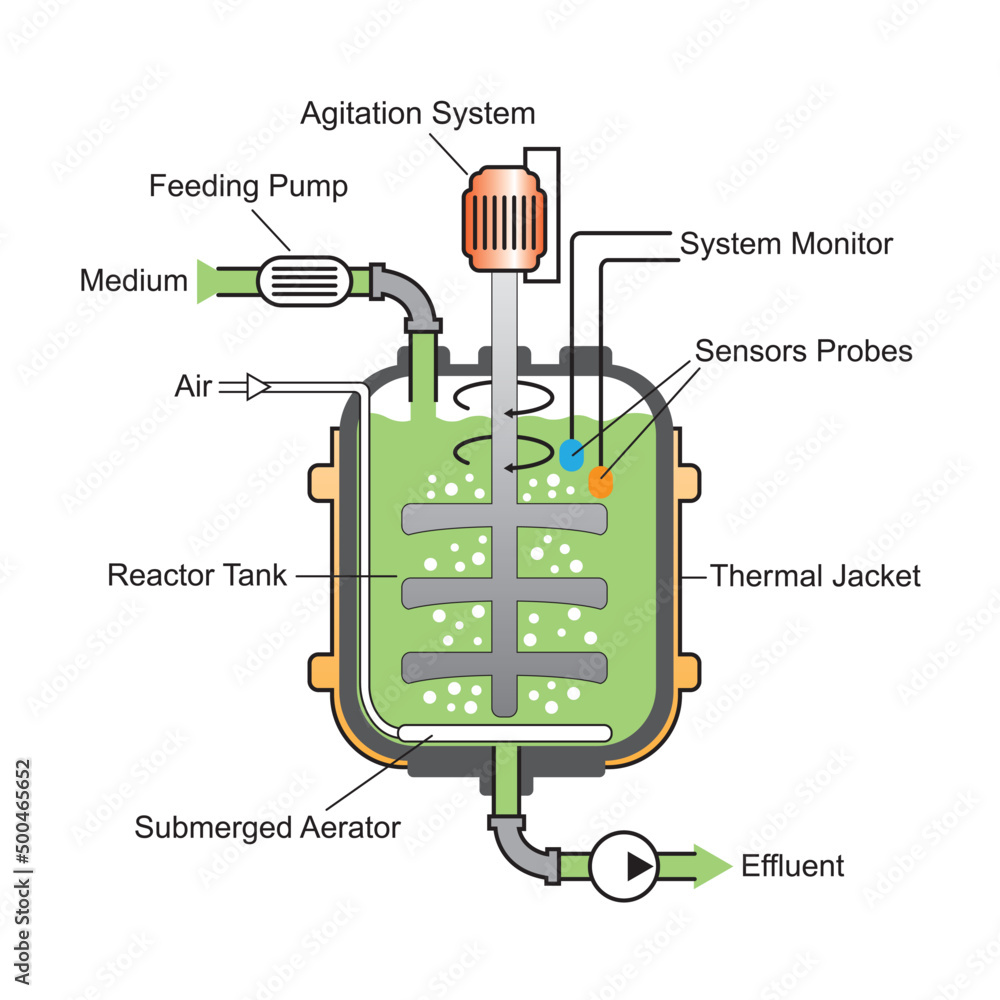 Scientific Designing Bioreactor. The Biologically Active Environment ...
