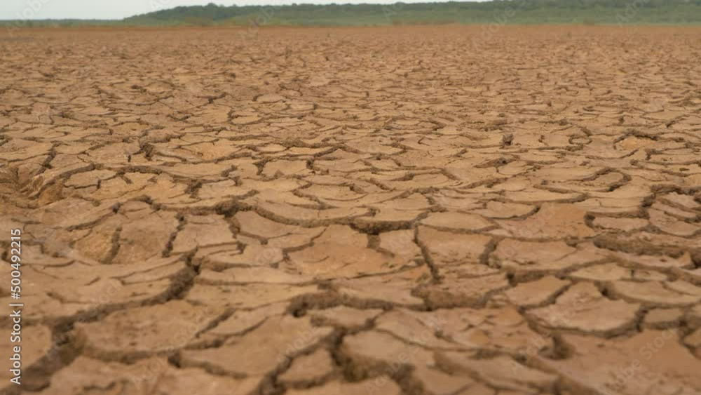 CLOSE UP: Big surface of cracked soil caused by long draught. Brown ...