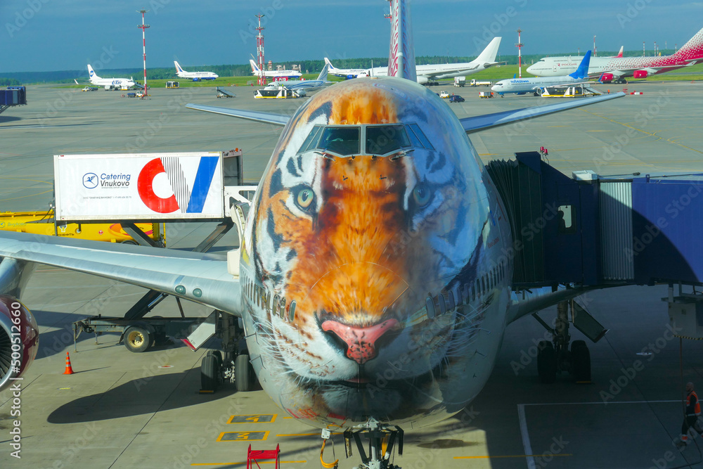 Tiger face airplane Stock Photo | Adobe Stock