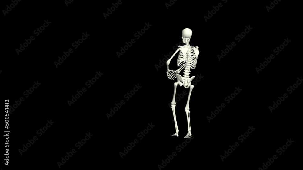 Skeleton Dancing 3D Animation. You will get the Super Realistic 3D ...