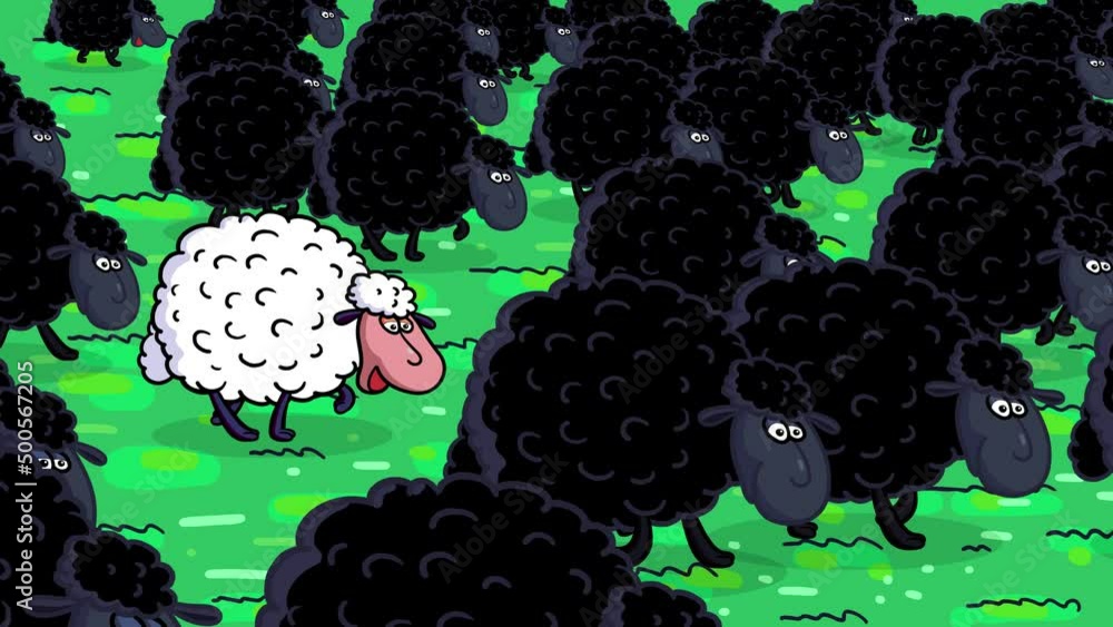 One white sheep among black sheep. Cartoon animation illustrating a ...
