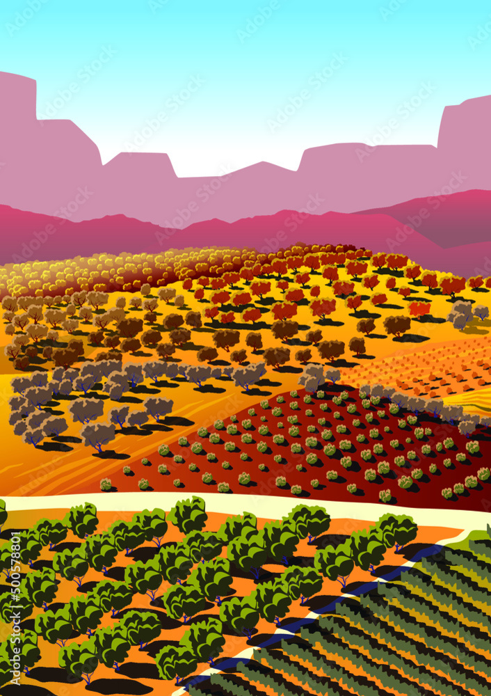 Spain rural landscape with vineyards, olive groves, fields and hills in ...