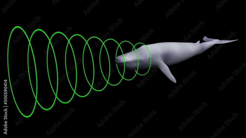Whale emitting sonar , echolocation signals . Cetacean sending ...