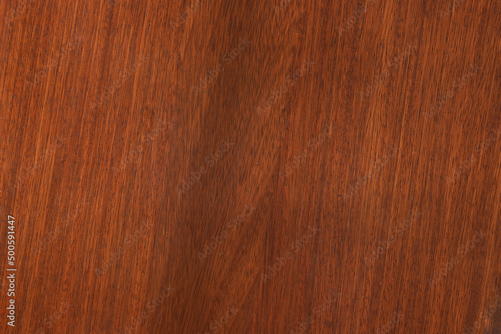 Polished wood texture. natural wood texture, plywood texture background ...