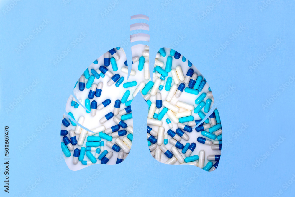 Respiratory system. The concept of the diseases and treatment of the ...