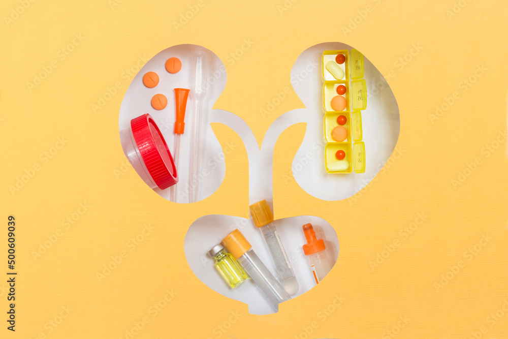 Urinary system. The concept of urology of the kidneys and bladder ...