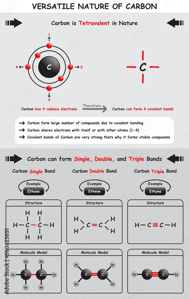 Versatile Nature of Carbon Infographic Diagram showing tetravalent due ...