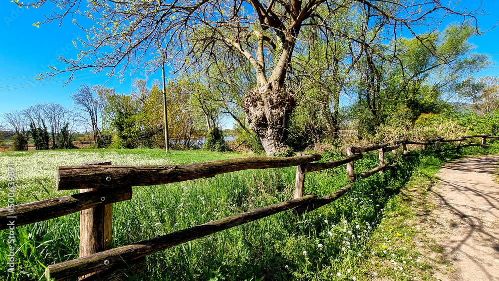 sentiero con staccionata nella torbiera del Sebino, Iseo Stock Photo ...
