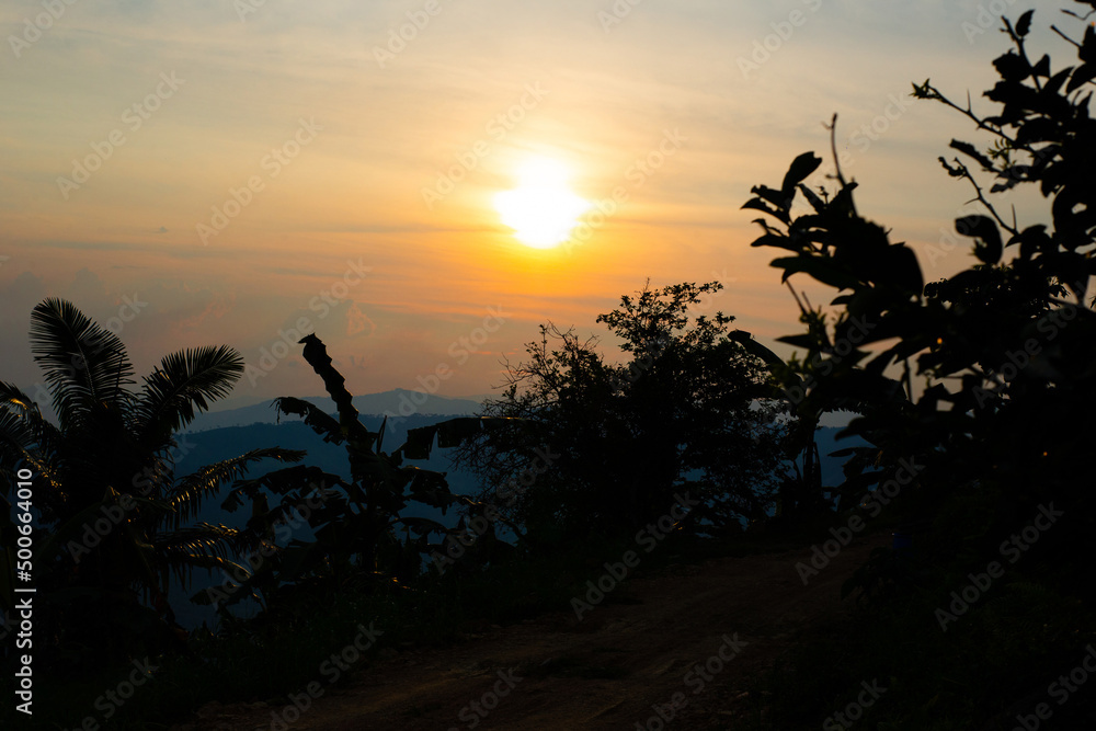 Contraluz selva peruana y el sol al fondo Stock Photo | Adobe Stock