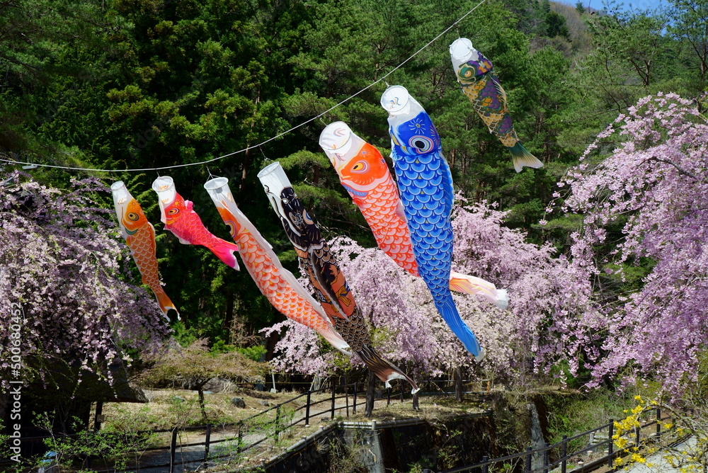 On the 5th of May, we put up a koi nobori, or a carp streamer so wish a ...