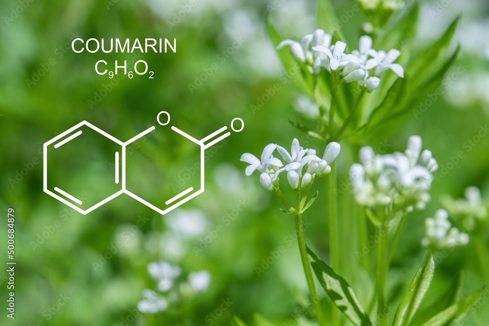 Skeletal formula of coumarin. Substance causes the odour of sweet ...