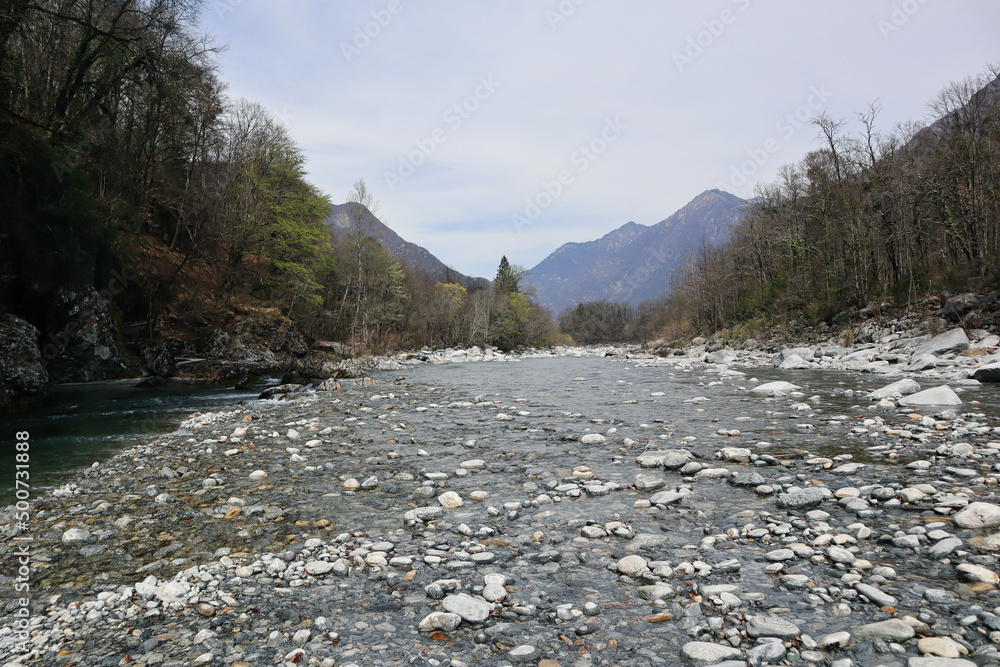 Poster Stone Landscape where the Maggia River flowing through the ...