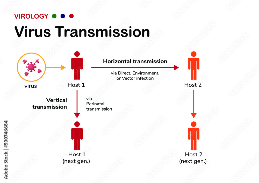Virology infographic explain concept of virus transmission, vertical ...