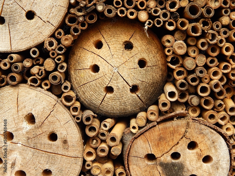 Foto de Détail d'un hôtel à insectes en petites buches et bambou do ...