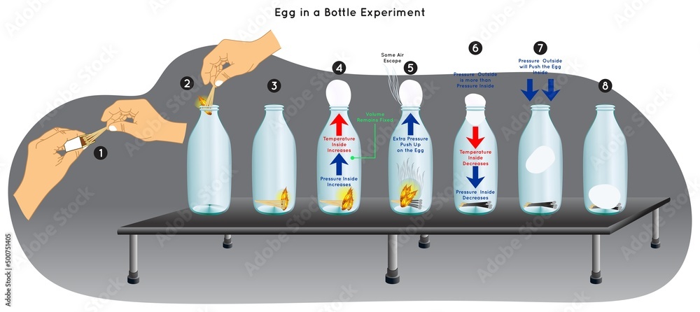 Photo & Art Print Egg in a Bottle Experiment Infographic Diagram egg ...
