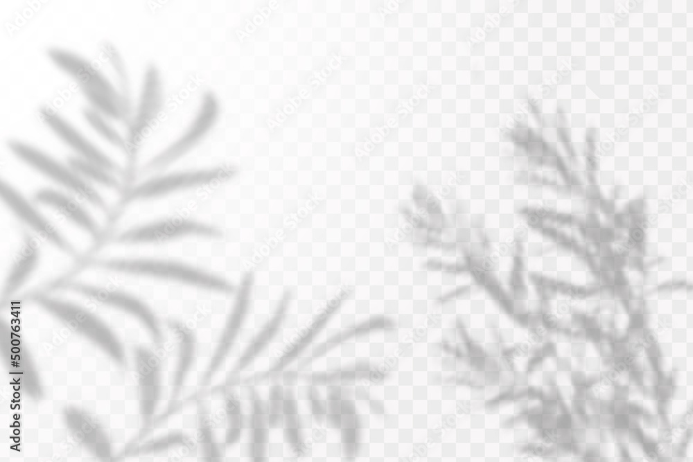 Realistic shadow tropical leaves and branches on transparent checkered ...