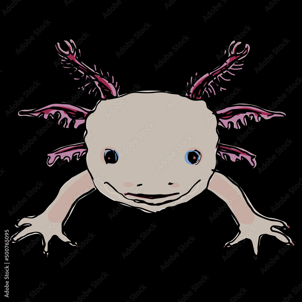 Funny face of a happy smiling baby Axolotl. Mexican walking fish ...