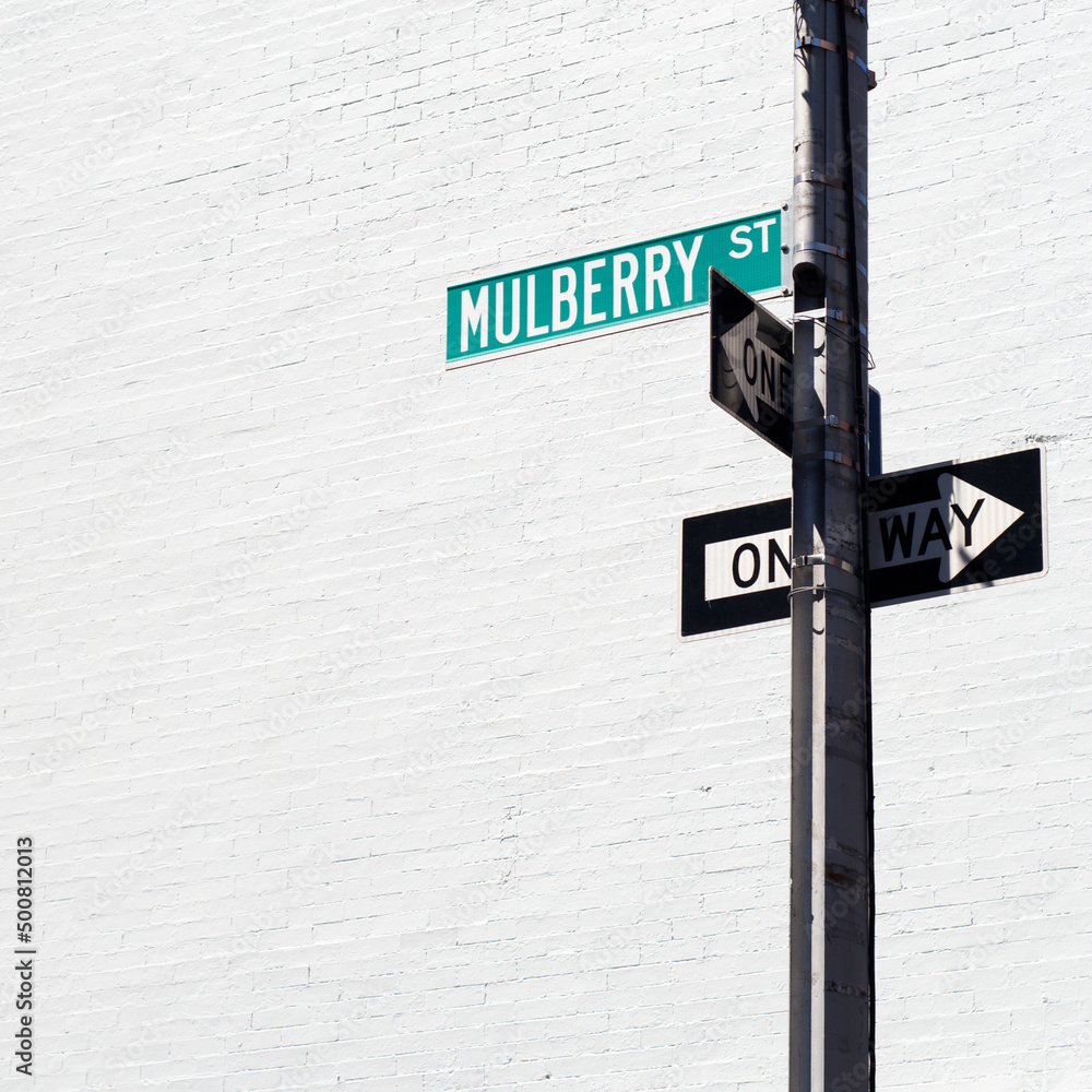 Mulberry Street and two one way signs on a pole against a white brick ...