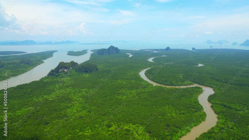 Drones are flying over winding rivers and large mangrove forests near ...