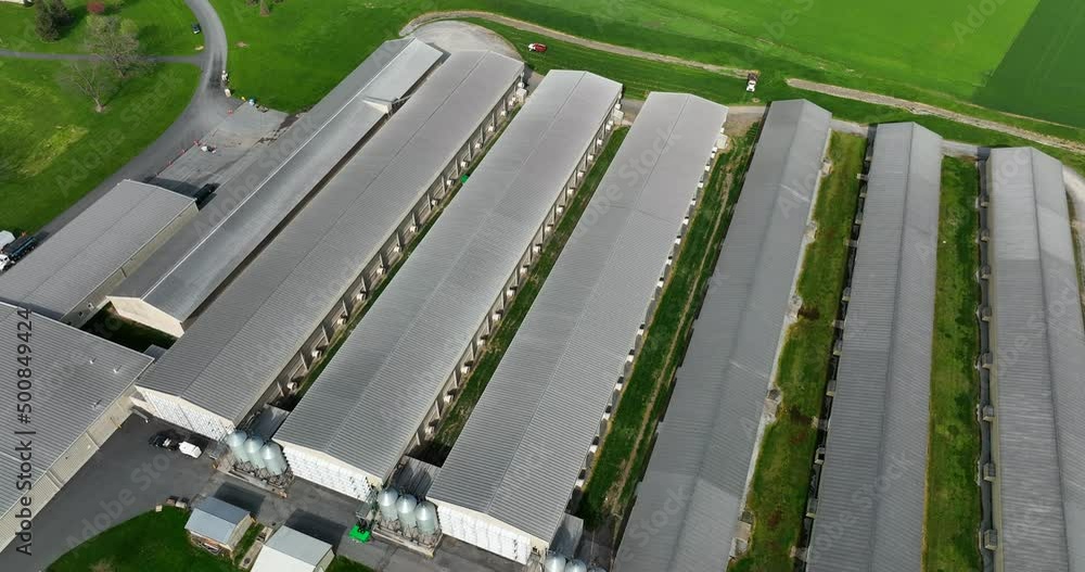 Chicken poultry farm operation. Aerial of massive factory farm complex ...