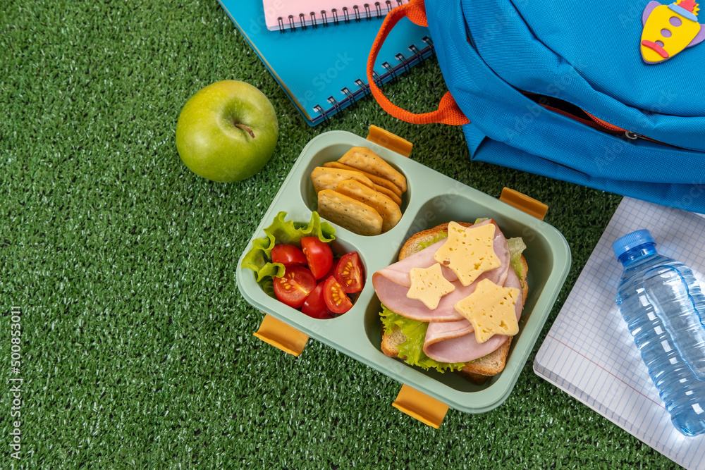 Healthy school lunch box with sandwich and salad at school yard. School ...