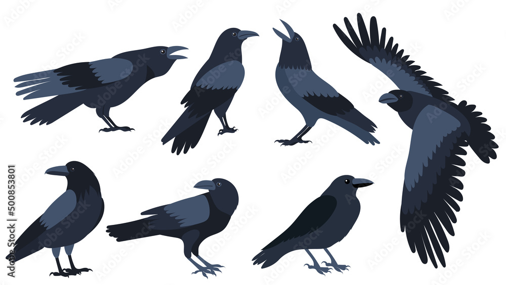 set of crows flat design , isolated on white background, vector Stock ...