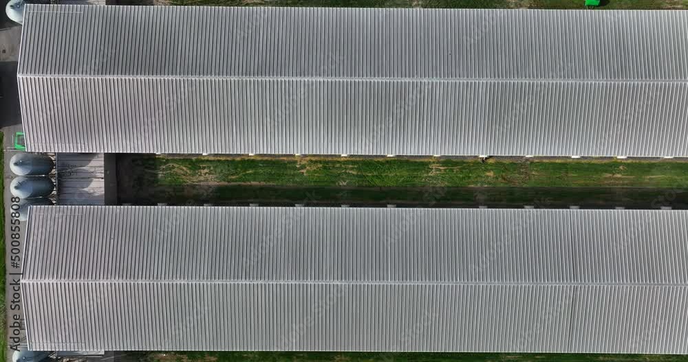 Large factory farm rooftop view. Chicken egg production facility in USA ...
