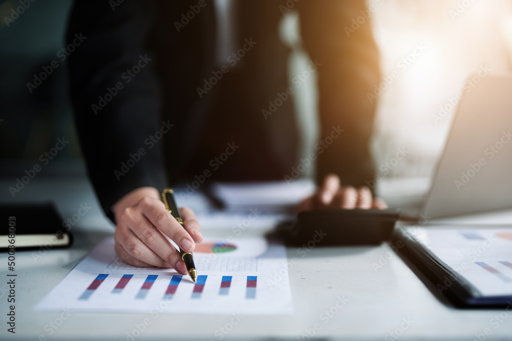 data analysis, plan, marketing, accounting, audit, asian business woman ...