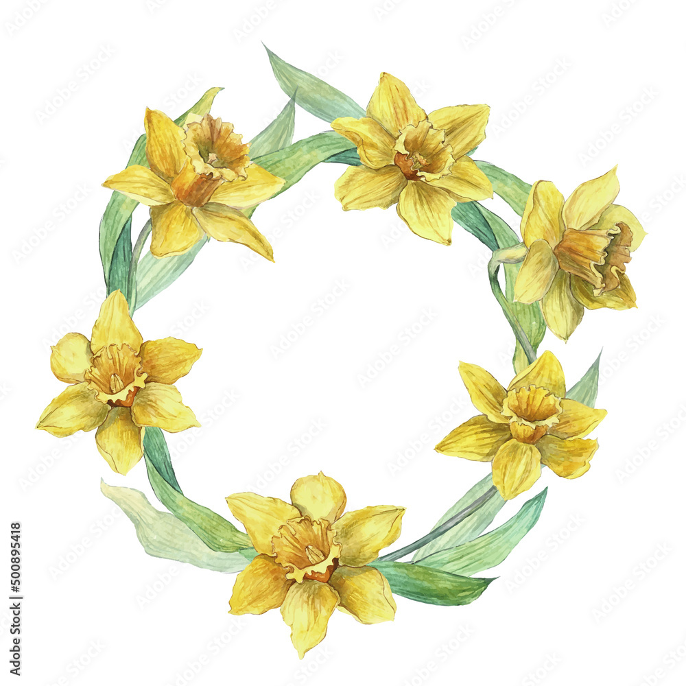 Hand-painted watercolor daffodils wreath on white background. Circle ...
