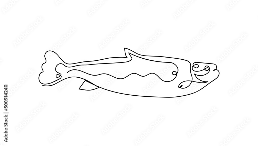 Continuous line art drawing of salmon fish Stock Vector | Adobe Stock