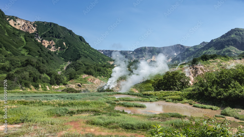 Hot springs are visible among the lush green vegetation. Columns of ...