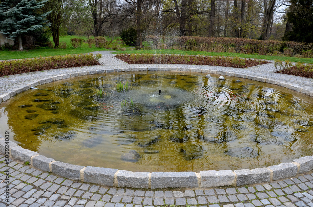round pond with ornamental koi carp fish. has an area planted with ...