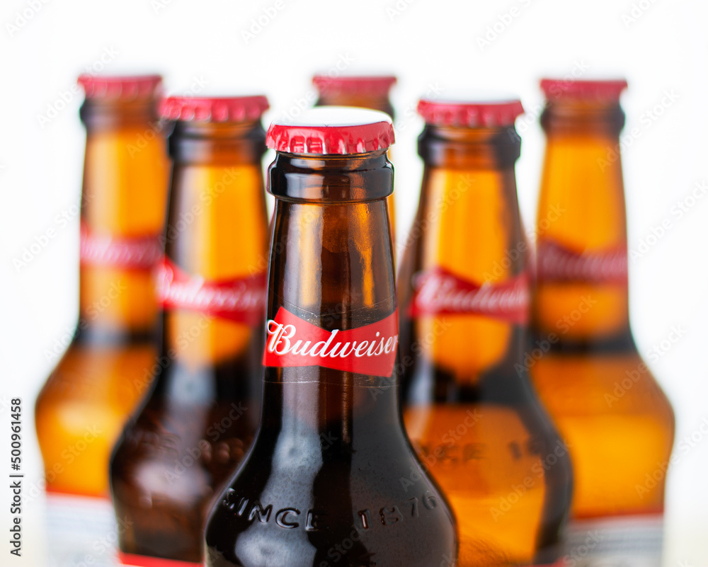Foto de Budweiser beer studio photo, renowned brand of beer do Stock ...