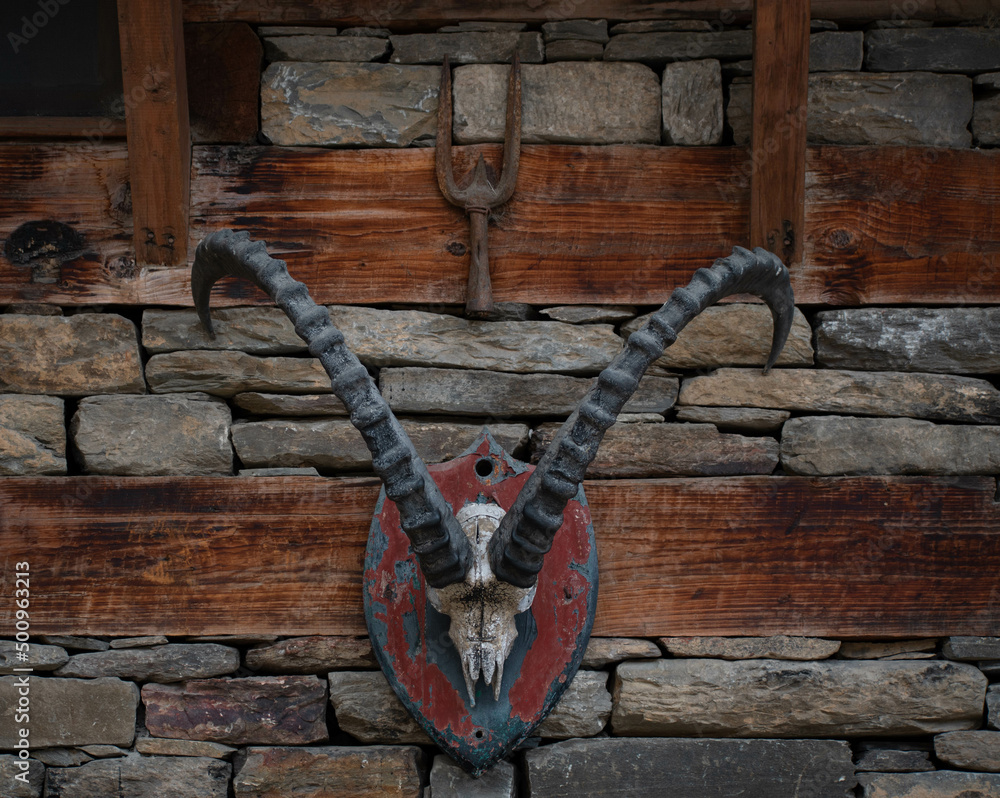 A deer skull clicked inside the prehistoric Hadimba Devi Temple in ...